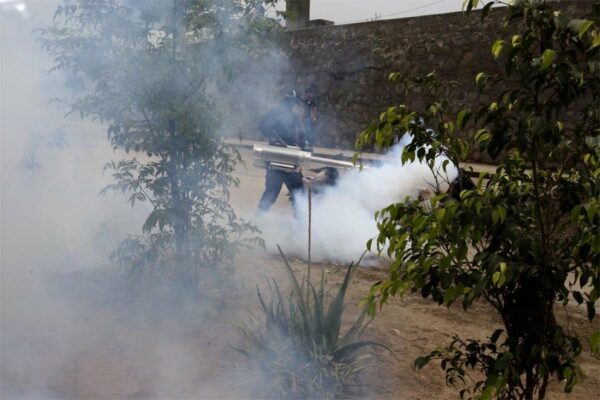 fumigacion – Tarsilo Control de Plagas